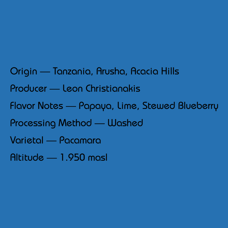 TANZANIA - ACACIA HILLS – Ditto Specialty Coffee